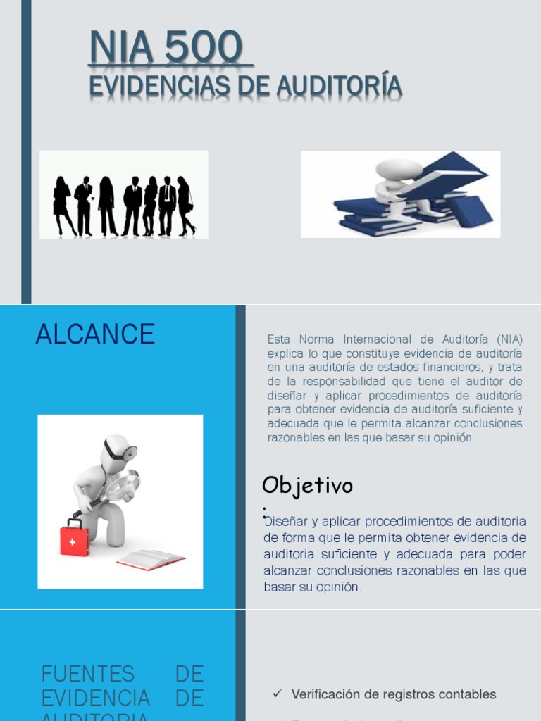 Nia 500 | PDF | Auditoría | Contabilidad