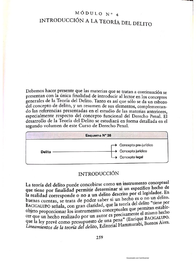 Resumen Teoria Delito Bullemore | PDF