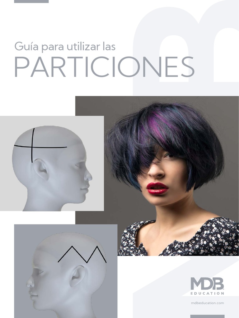 Guía completa para entender y aplicar correctamente las particiones en ...