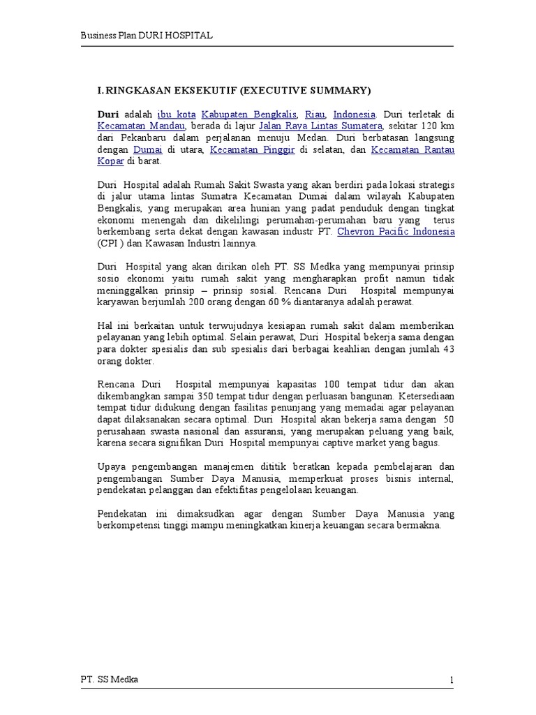 Bisnis Plant Rs Duri Pekan Baru | PDF