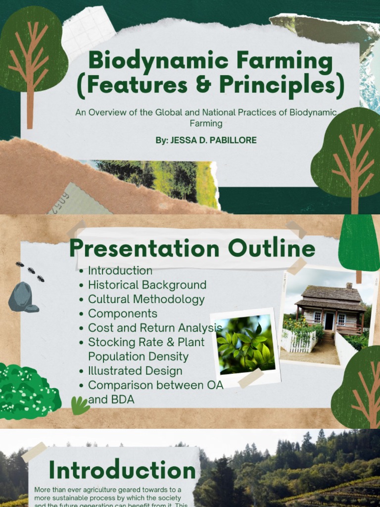 Biodynamic Farming | PDF | Organic Farming | Agriculture