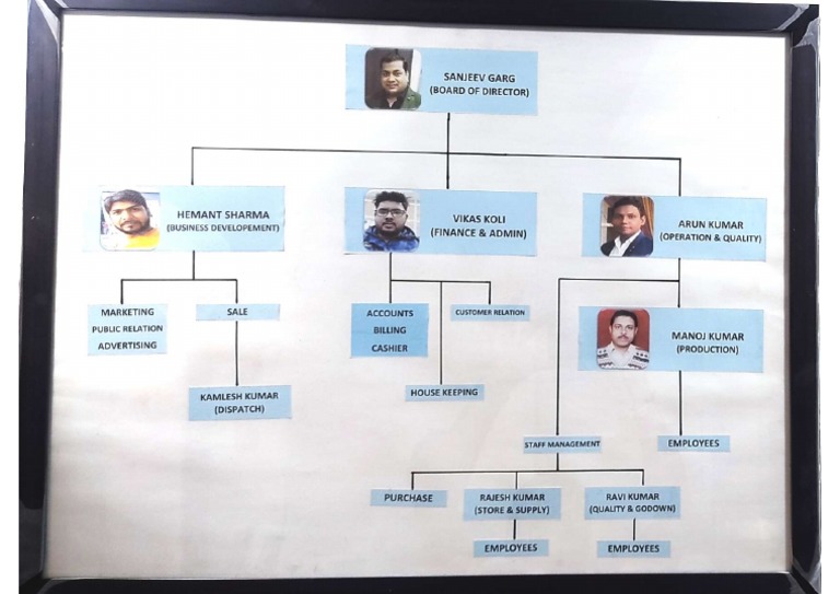 Organisation Chart | PDF