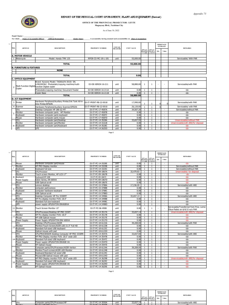RPCPPE June 30, 2022 | PDF | Computer Monitor | Computer Keyboard