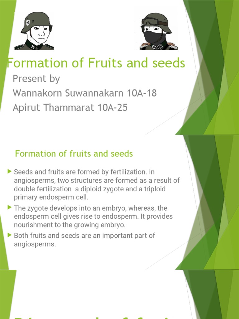Formation of Fruits and Seeds 3 | PDF