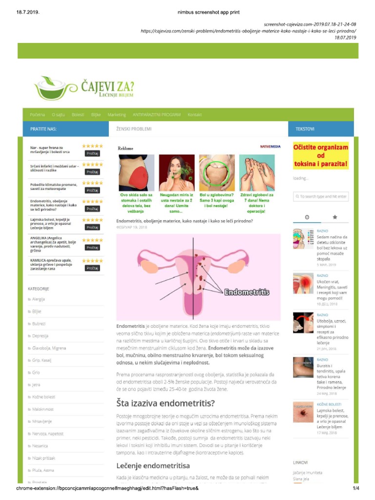 Prirodno Lečenje Endometrioze | PDF