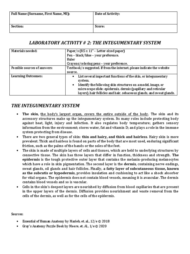 Gallego, Alyzza Faith C. - AP Lab Activity No 2 | PDF | Skin ...