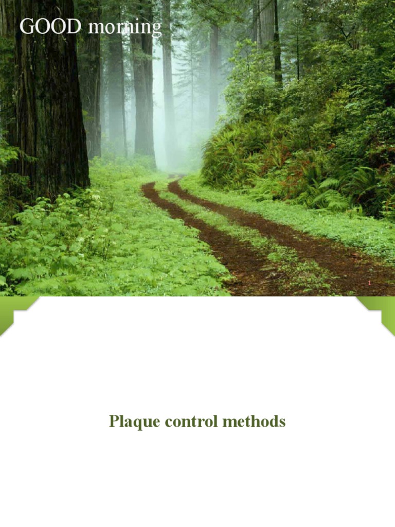 4 - Plaque Control Methods | PDF | Toothbrush | Mouth