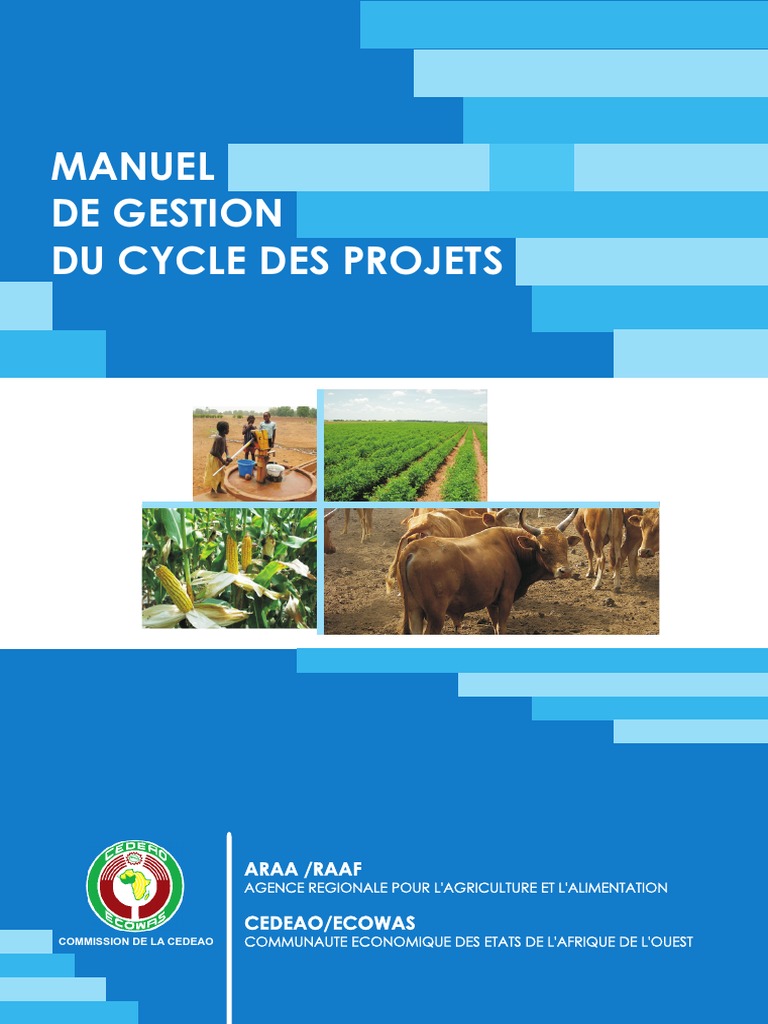 Manuel de Gestion Du Cycle Des Projets Version Finale Imprimee | PDF ...