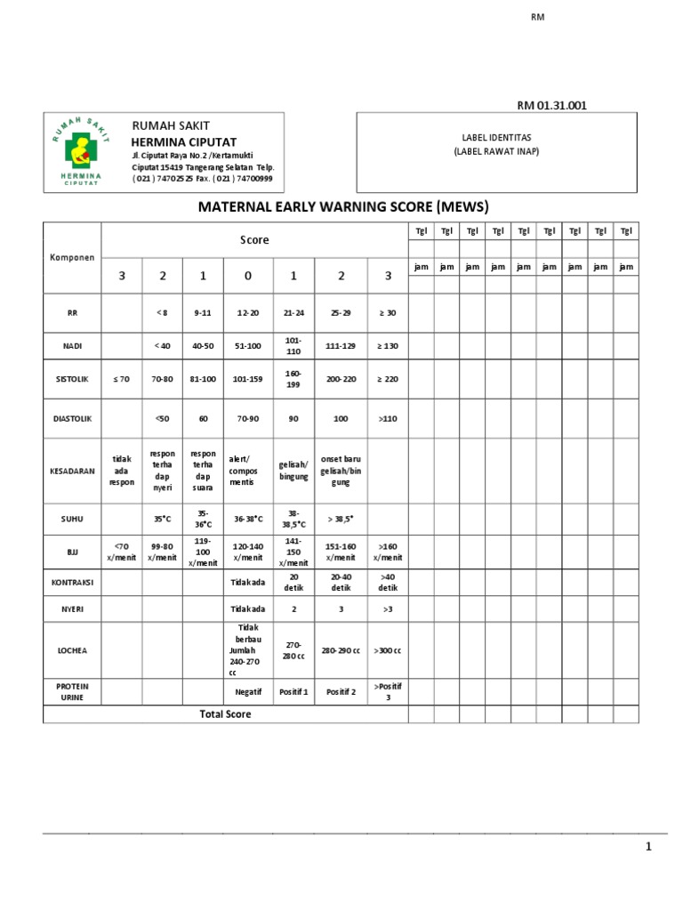 Ews Maternal | PDF