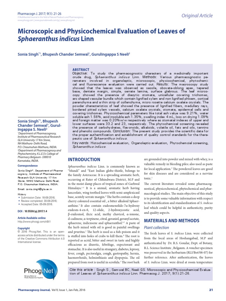 Evaluation of Leaves | PDF | Leaf | Stoma