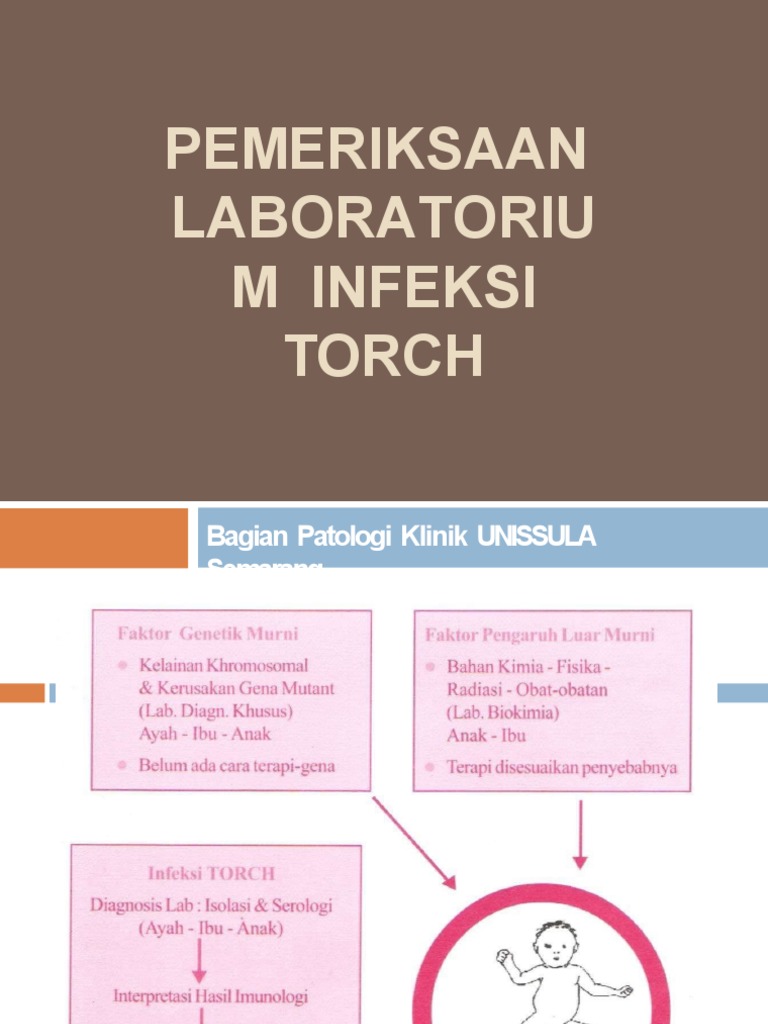 Pemeriksaan Laboratorium Infeksi Torch | PDF