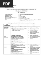 RPPH Tema Binatang Peliharaan Ayam | PDF