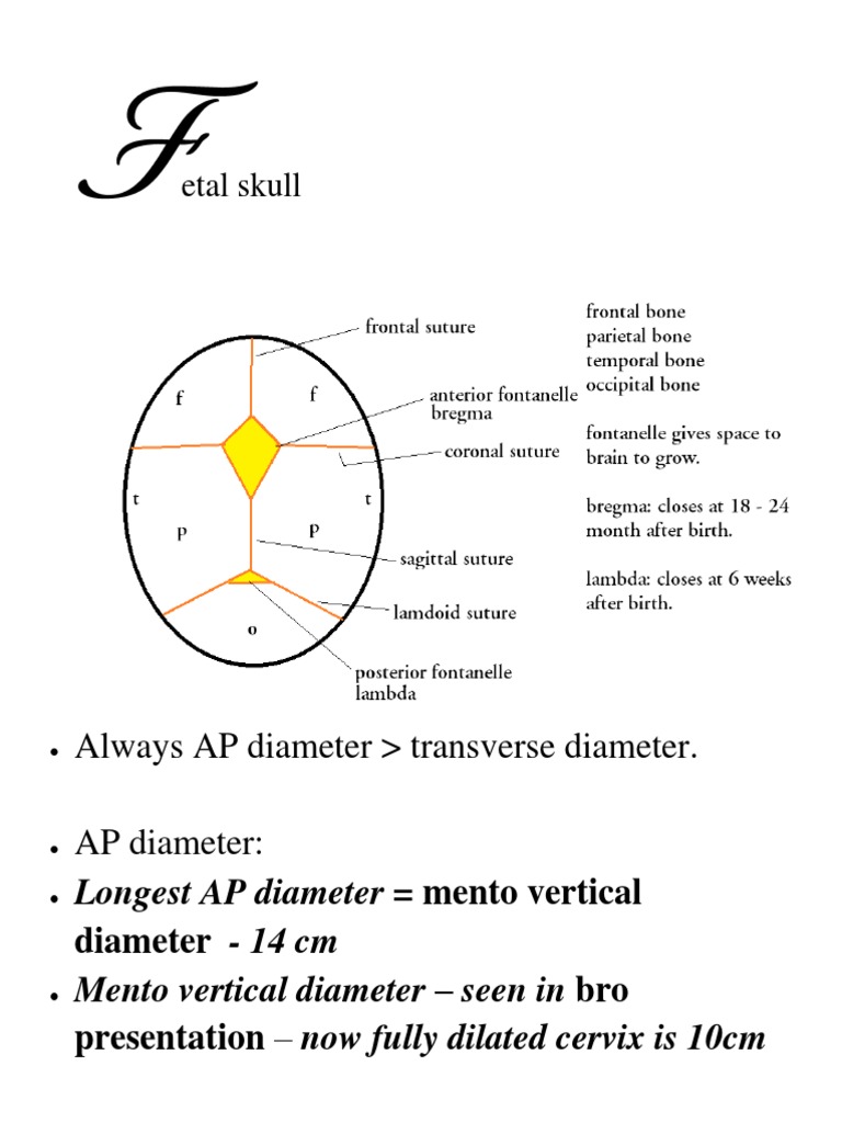 Fetal Skull Measurements and Presentations | PDF