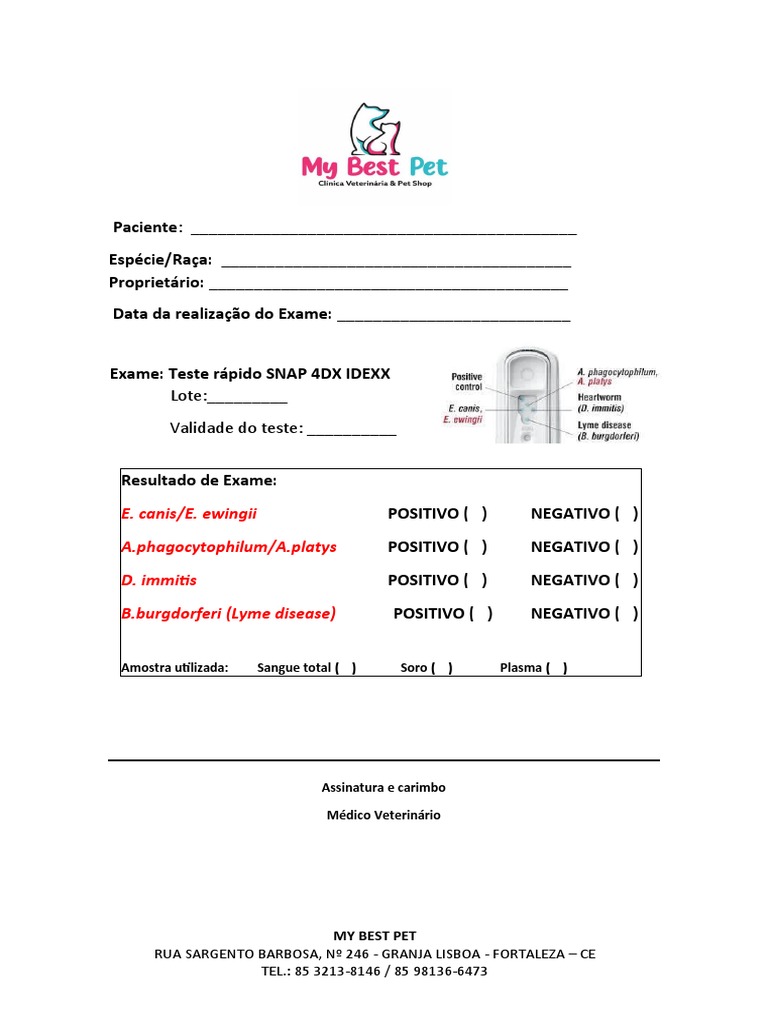 MODELO LAUDO TESTE 4dx COMPLETO - My Best Pet | PDF