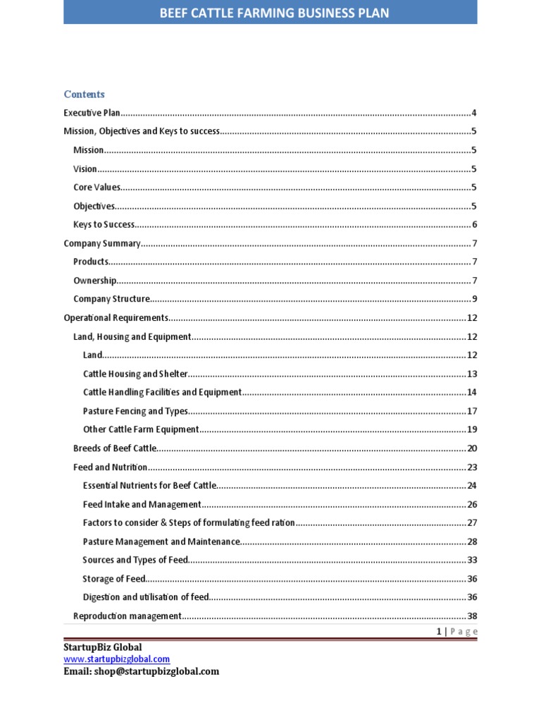 Beef Cattle Farming Business Plan | PDF | Cattle | Calf