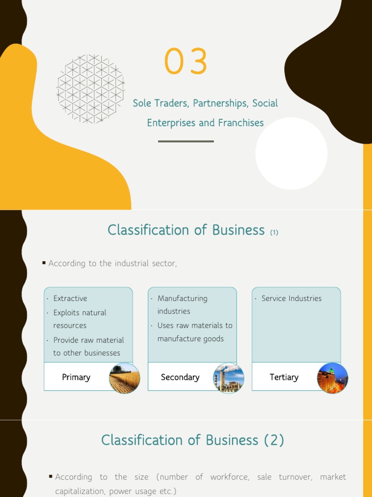 Section 1.3 (Sole Traders, Partnerships, Franchises, & Social ...