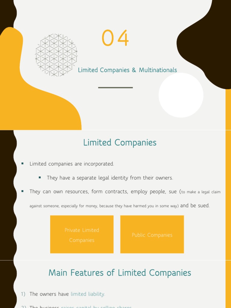 Limited Companies and Multinationals Overview | PDF | Limited Company ...
