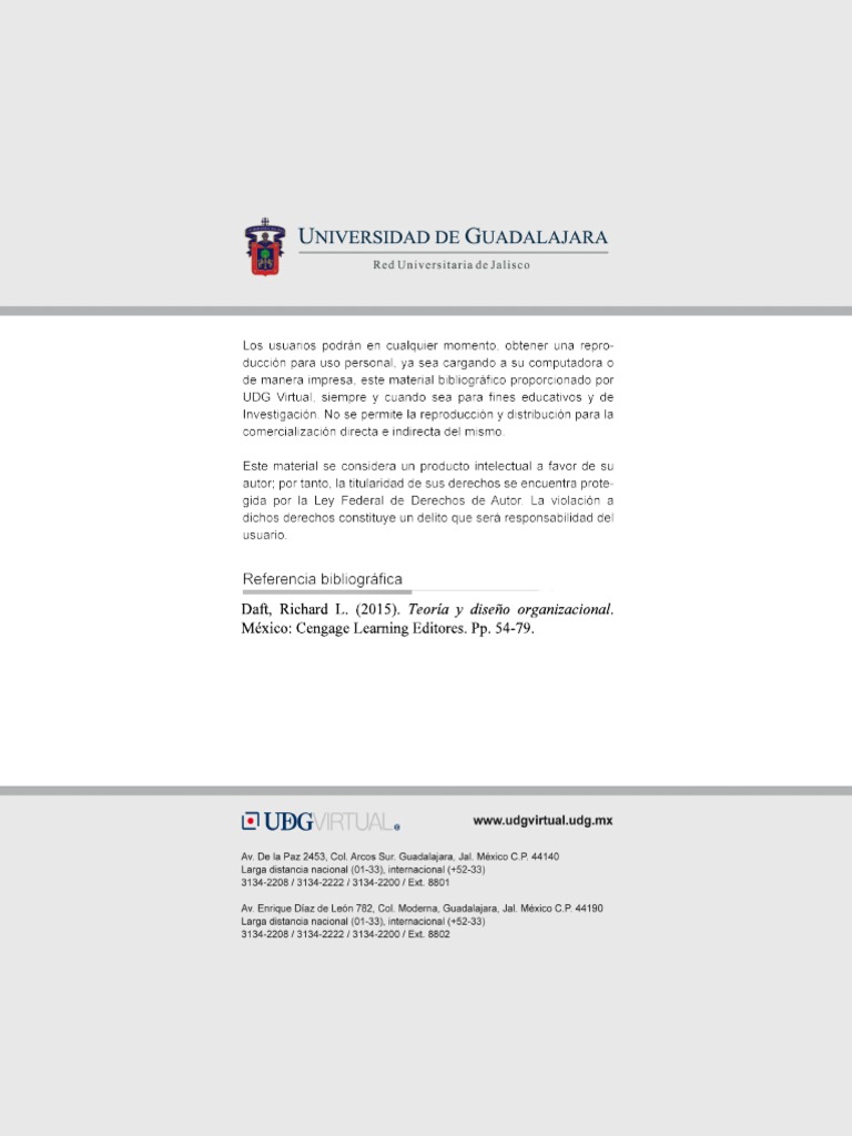 LIBRO Teoria y Diseno Organizacional Daf | PDF | Business | Innovación