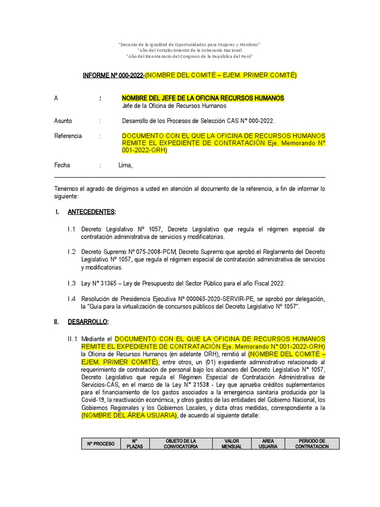 Modelo De Informe Final