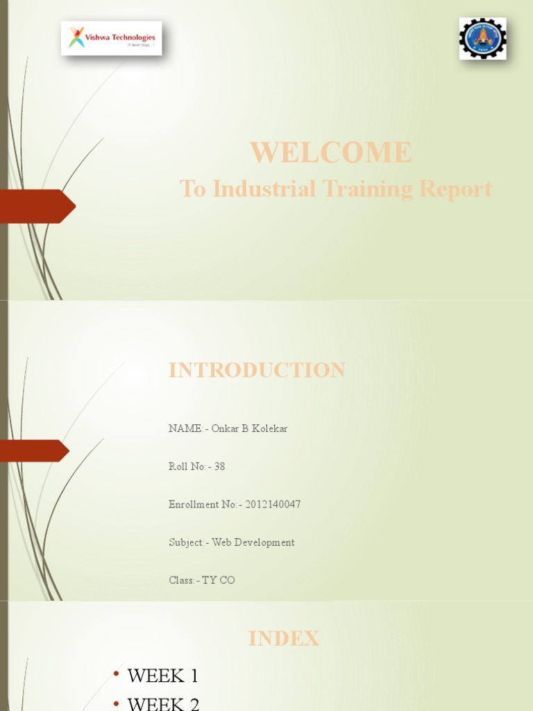 Industrial Training | PDF