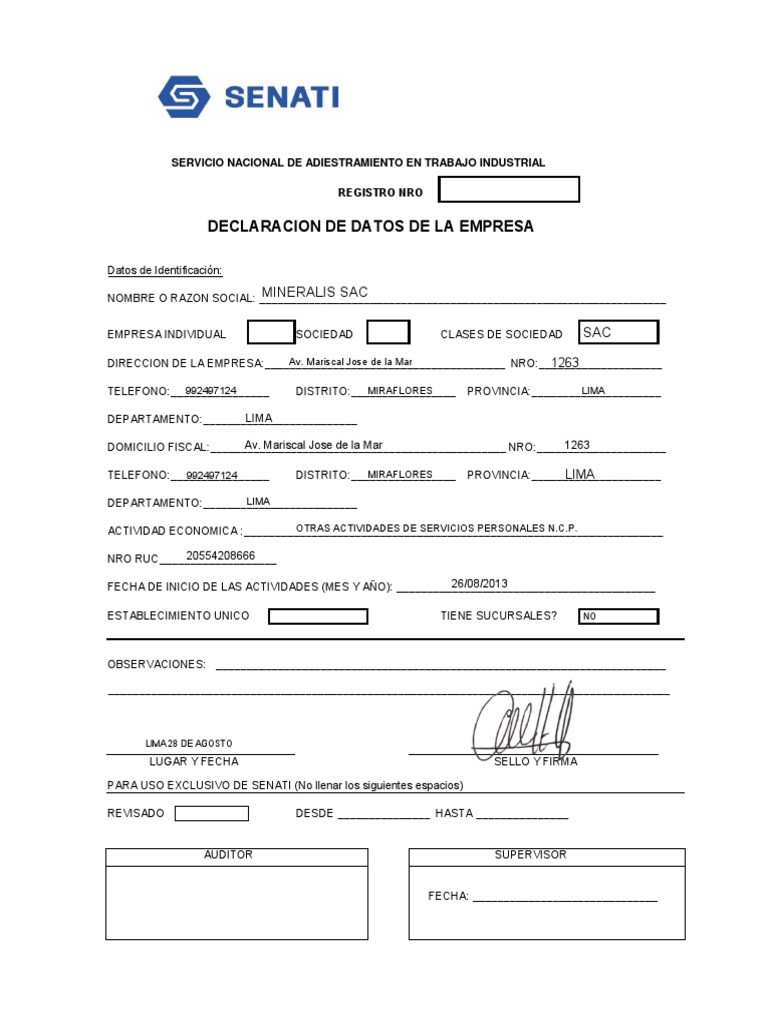 Registro de Datos de Mineralis SAC | PDF