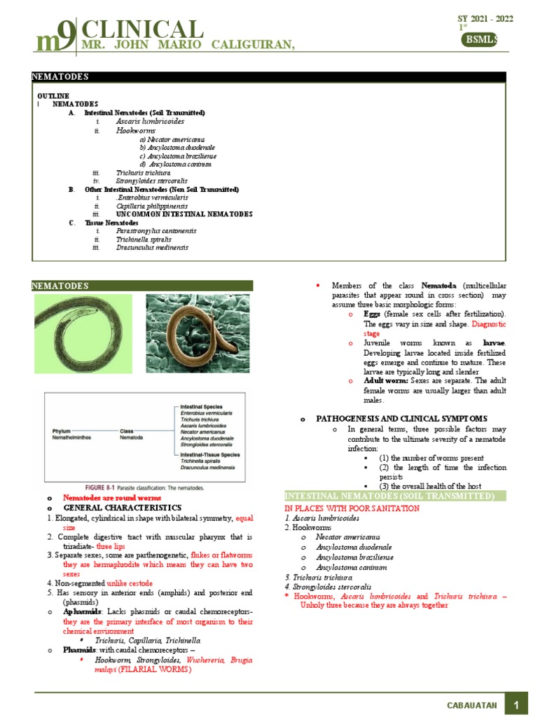 Week9&10 LEC Clinical Parasitology NEMATODES | PDF | Nematode | Medical ...