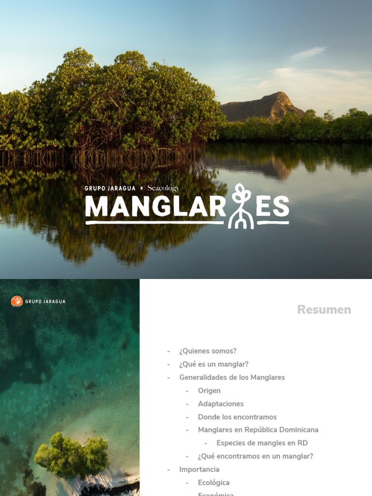 ManglarEs PresentaciónUltimaVersión | PDF | Mangle | Conservación del ...