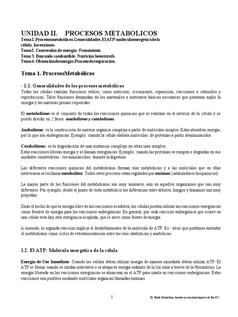 Unidad 2 Procesos Metabolicos | PDF | Fotosíntesis | Carbohidratos