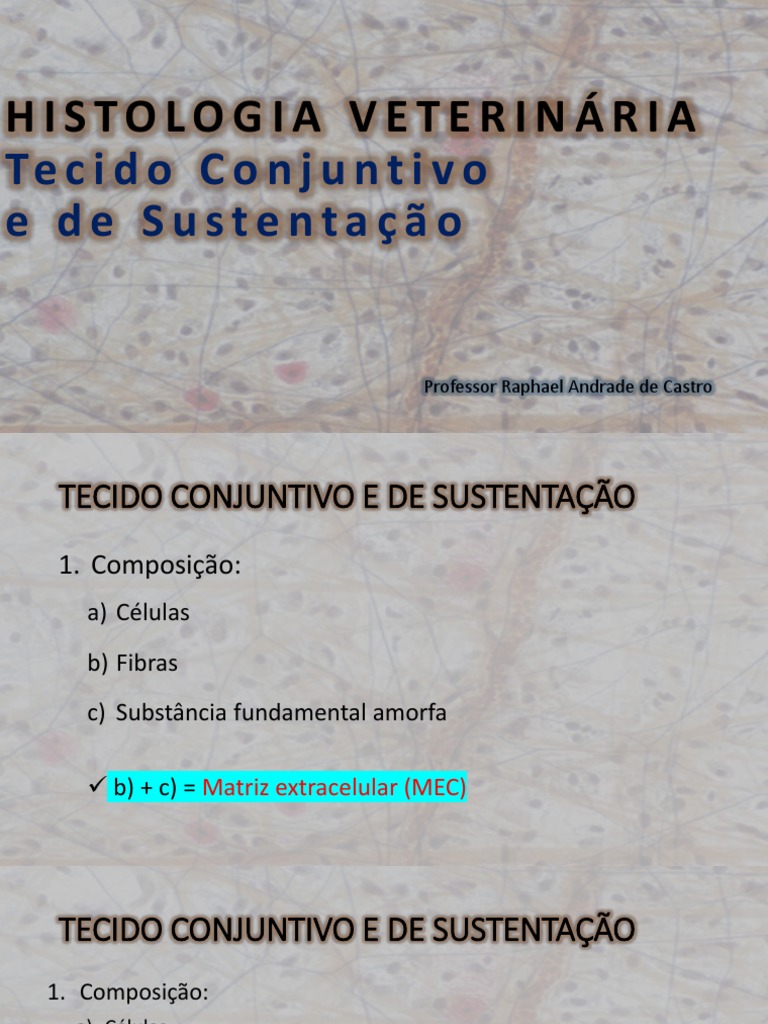 Aula 2 - Tecido Conjuntivo e de Sustentação - Células, Fibras e ...