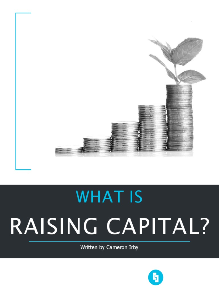 What Is Raising Capital | PDF | Angel Investor | Debt