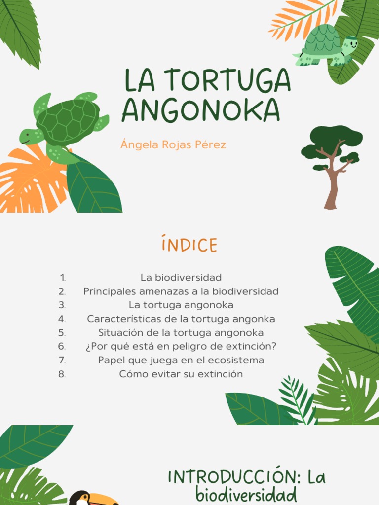 La Tortuga Angonoka | PDF | Biodiversidad | Entorno natural