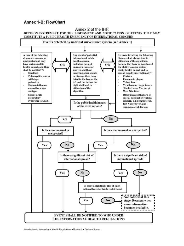 International Health Regulations Flowchart | PDF | Health Policy ...