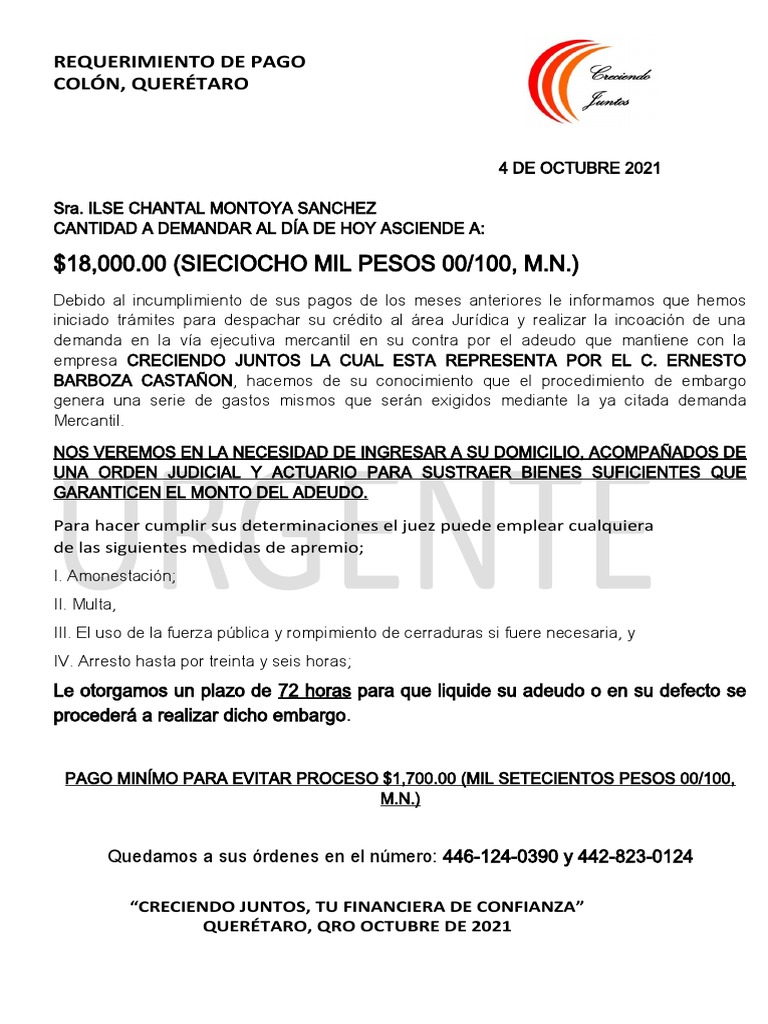 Requerimiento de Pago | PDF