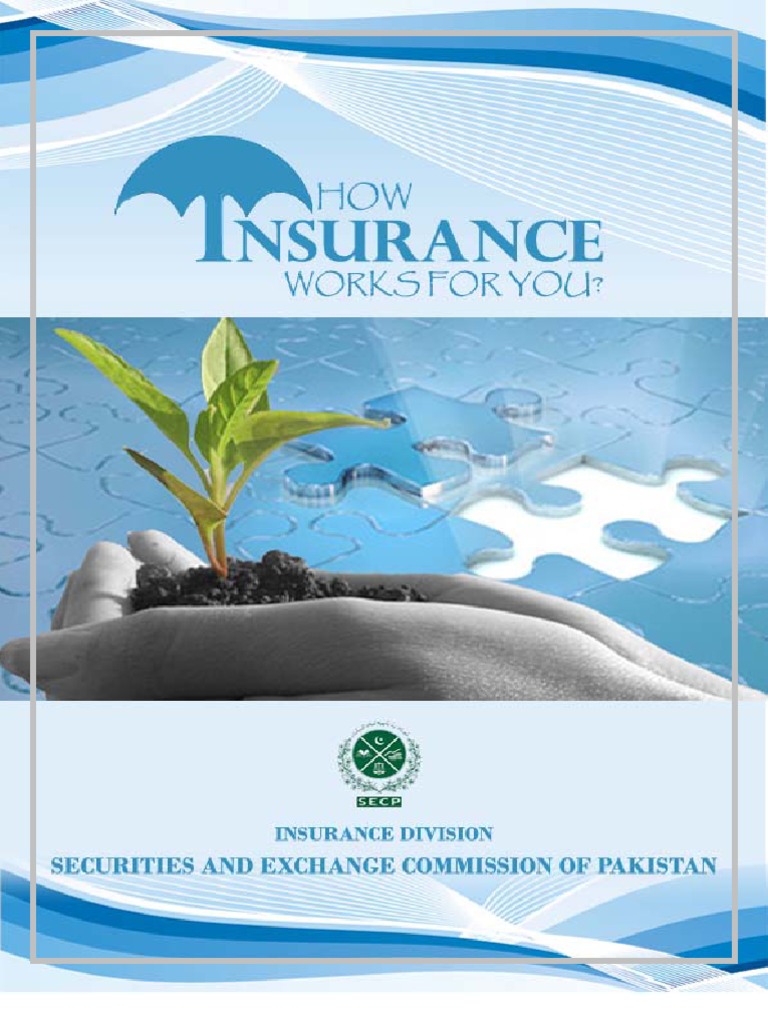 SECP Insurance Guide | PDF | Reinsurance | Vehicle Insurance