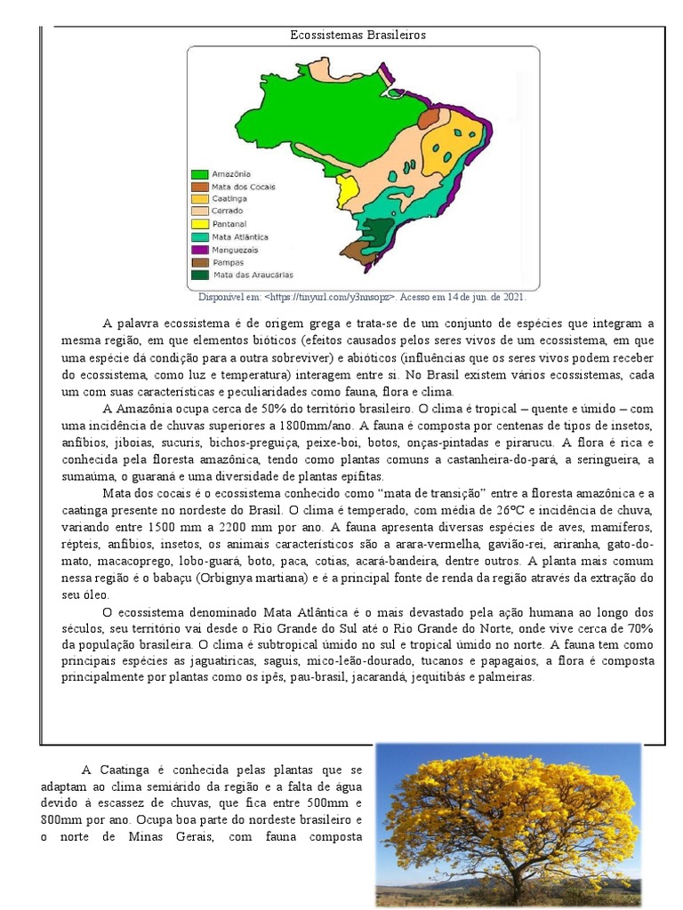 Atividade 12 7o Ano CIE Ecossistemas Brasileiros | PDF | Floresta ...