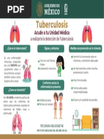 Triptico Sobre La Tuberculosis | PDF | Tuberculosis | Medicina