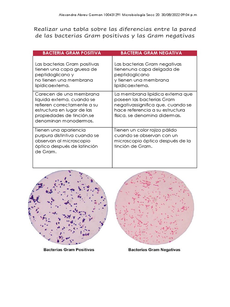 Realizar Una Tabla Sobre Las Diferencias Entre La Pared de Las Bacterias Gram Positivas y Las ...