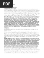 Havran - Rozbor K Maturitě | PDF