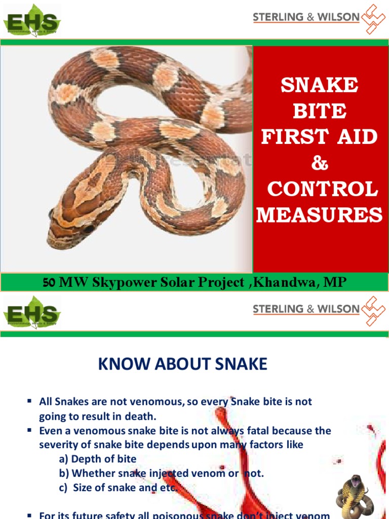Snake Bite First Aid & Prevention Guide | PDF | Science & Mathematics