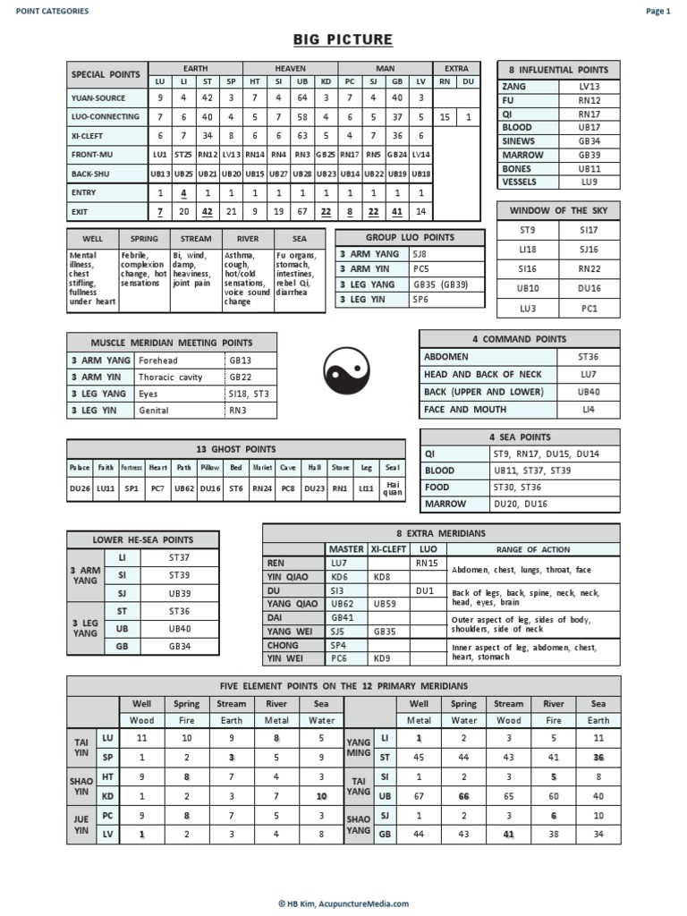 Big Picture HB Kim | PDF | Yin And Yang | Thorax