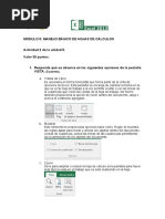 Actividad - Modulo 5 | PDF | Hoja de cálculo | Microsoft Excel