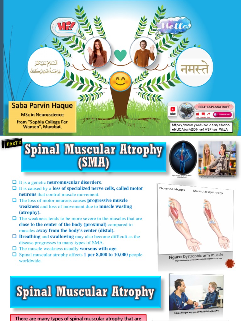 Spinal Muscular Atrophy Sma Pdf Skeletal Muscle Nervous System
