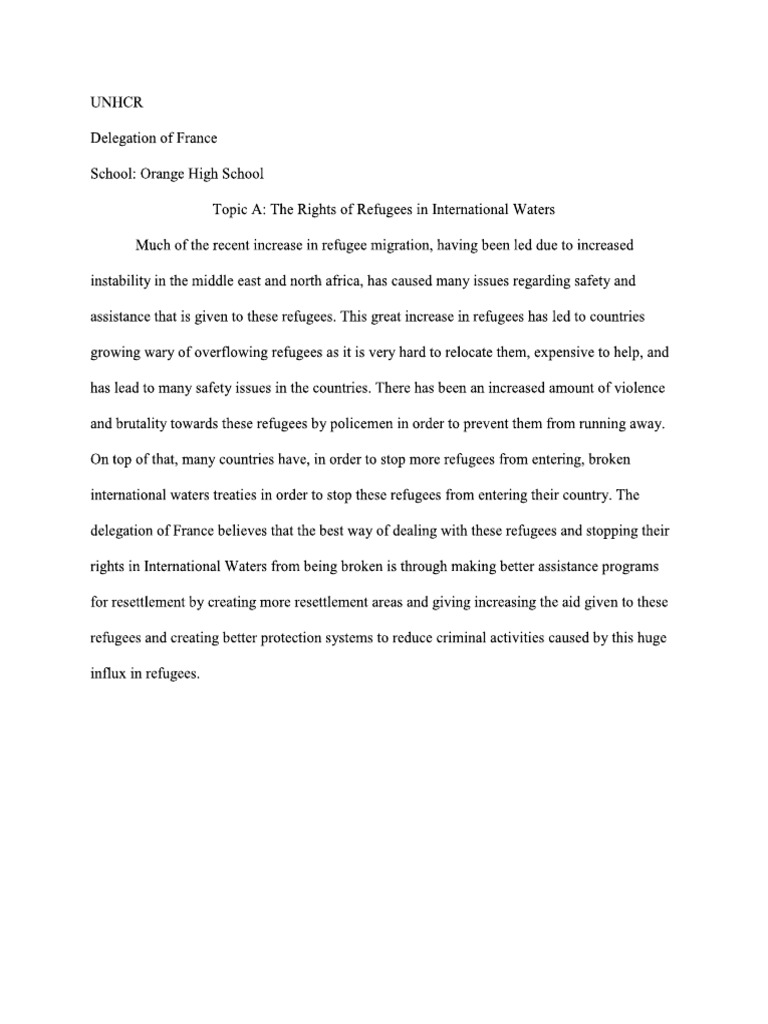 MUN Position Paper - France | PDF