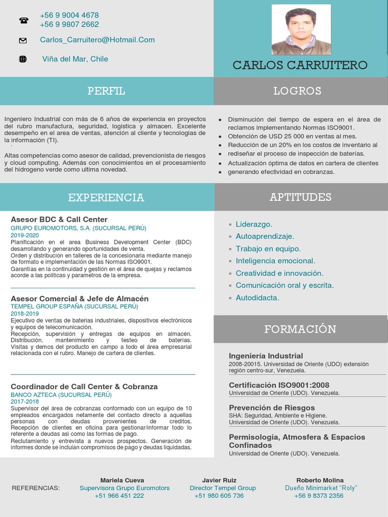 CV (Actualizado) Carlos Carruitero | PDF | Business | Economias