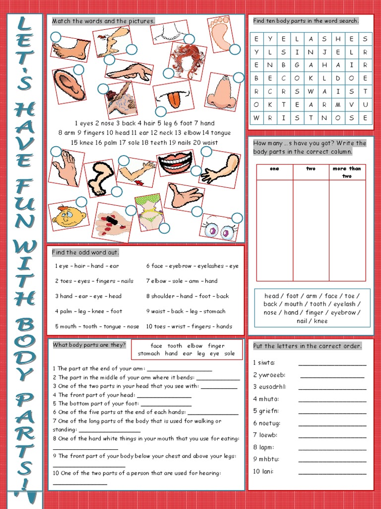 Parts of The Body Vocabulary Exercises Fun Activities Games Icebreakers ...