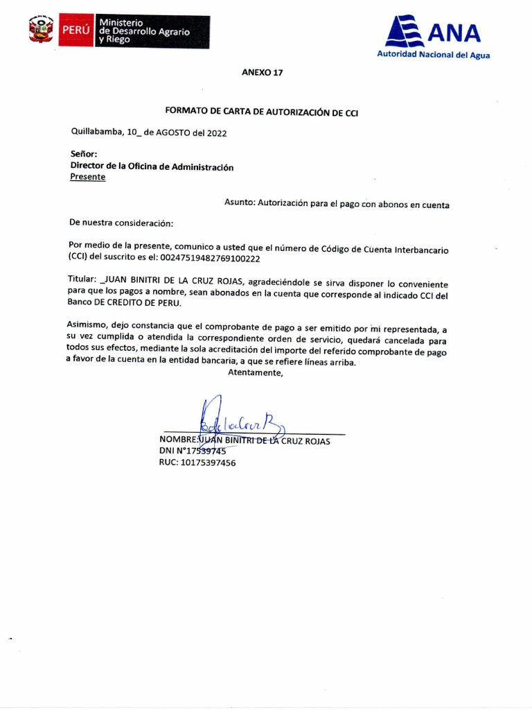 Formato Ana | PDF