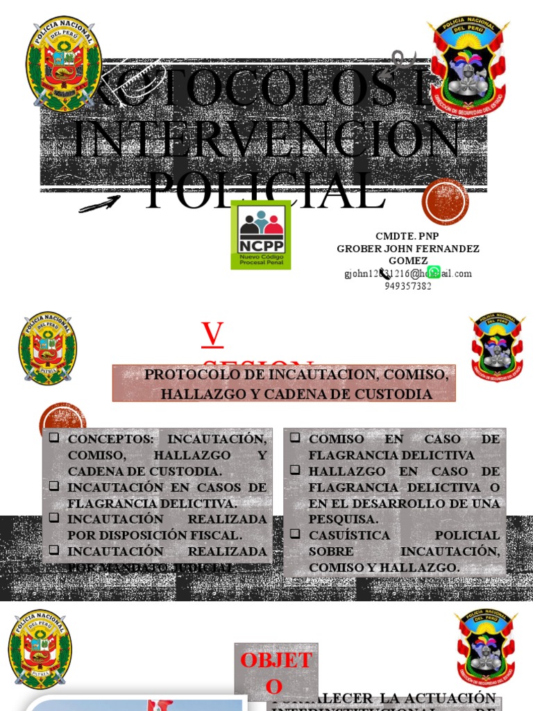 Sesion V . - Protocolo Incautacion, Comiso | PDF | Justicia | Crimen y violencia