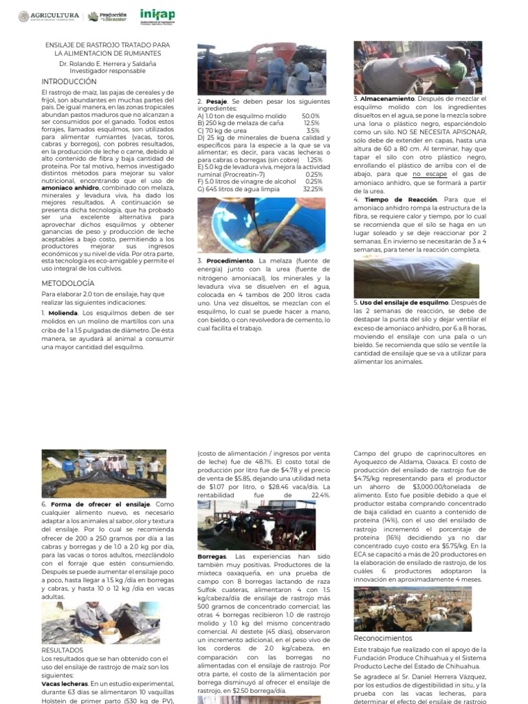 Tríptico Tratamiento Rastrojo | PDF | Amoníaco | Vacas