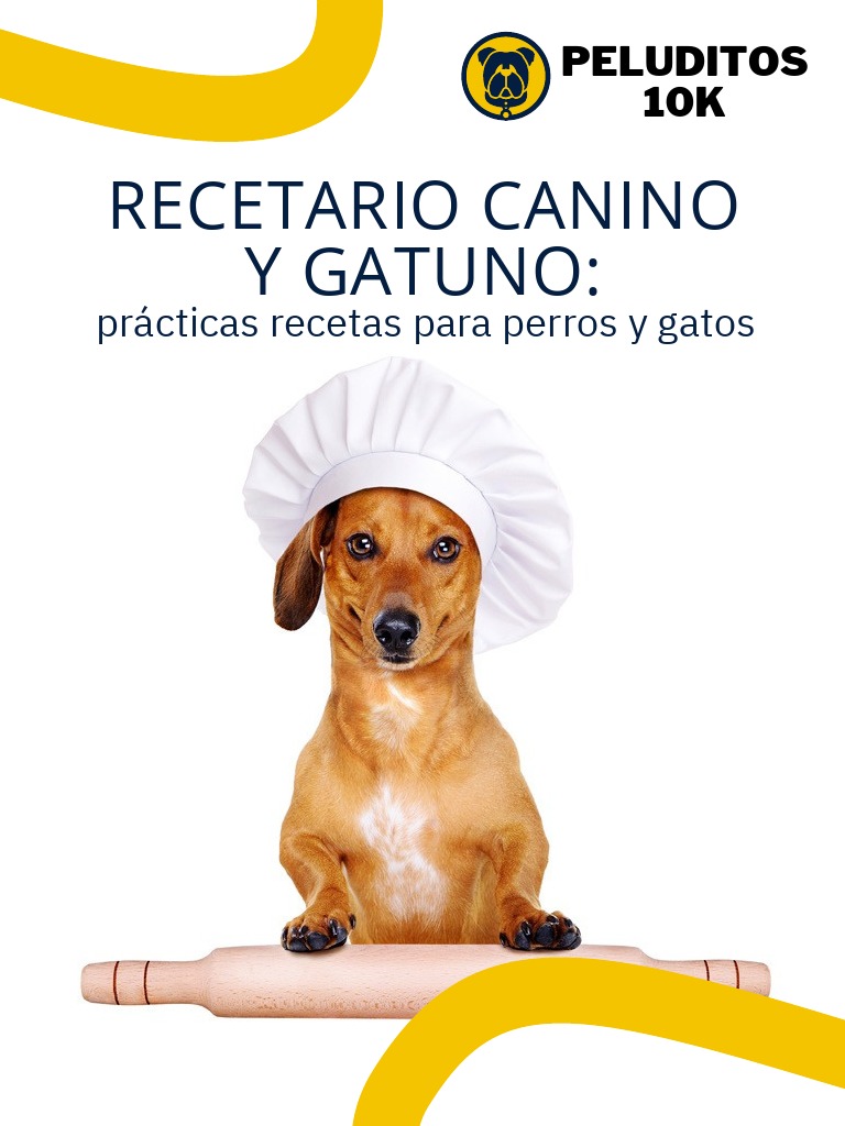 6 Recetas Faciles y Caceras para Tus Peluditos | PDF | Huevo como ...