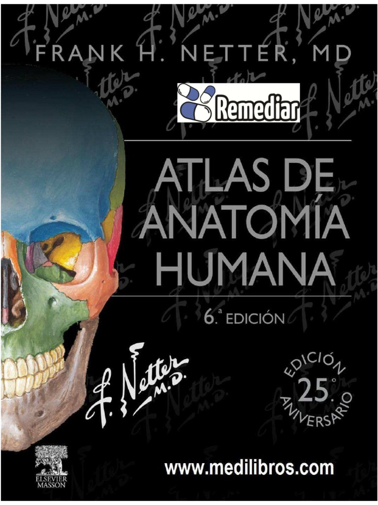Atlas De Anatomã A Humana De Netter 6â Ediciã N Biblioteca